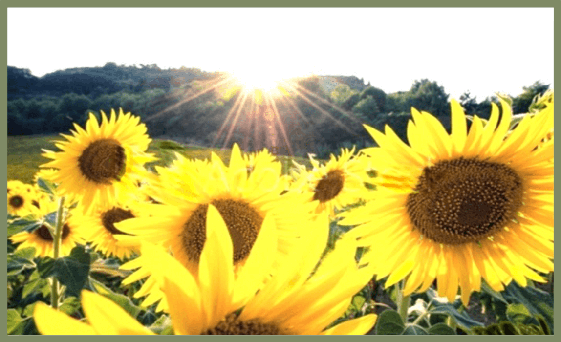 THIS IS WISDOM - Key Truths Ministries